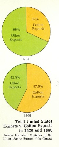 Cotton Plantation Diagram